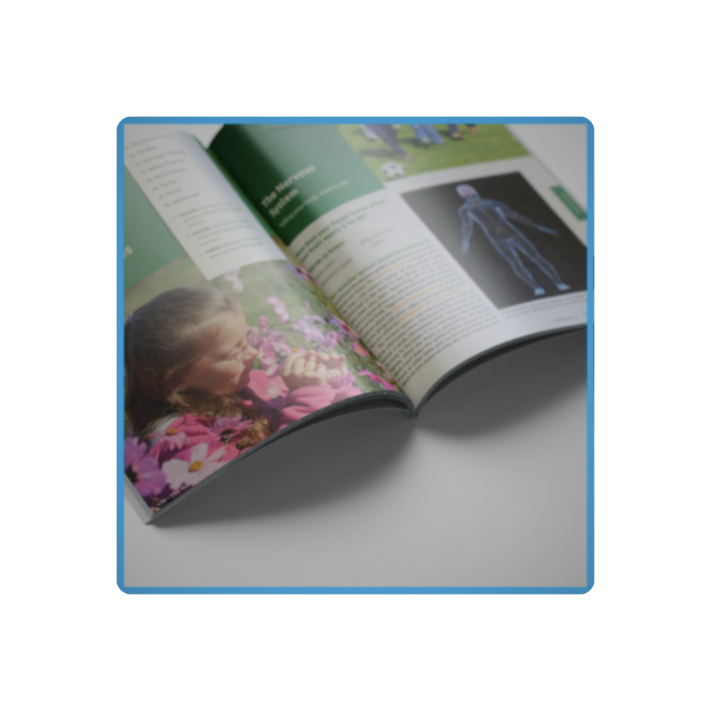 Binding Styles | Book Binding Options (Perfect, Saddle, Coil, Case)